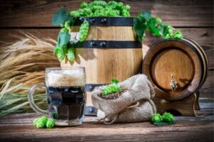 Cider VS Beer: Everything You Need To Know! – ExpertBrewing.com