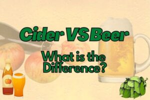 Cider VS Beer: Everything You Need To Know! – ExpertBrewing.com