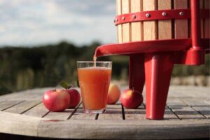 Best Cider Presses in 2025 (Beginners Guide!) – ExpertBrewing.com