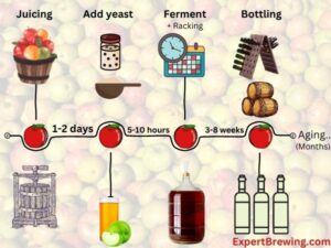 Cider Fermentation Timeline? (How Long Does It Take?) – ExpertBrewing.com