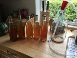 Secondary fermentation in brewing – What, Why and How! – ExpertBrewing.com
