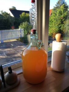 How to Make Hard Apple Cider at Home (Beginners Guide!) – ExpertBrewing.com
