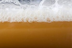 Cider Yeast: Best Yeasts for Hard Cider Making! – ExpertBrewing.com