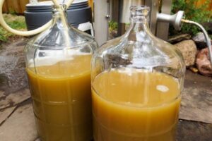 Does Fermentation Require Oxygen? (Or Will It Ruin Your Brew?) – ExpertBrewing.com