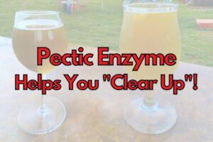 Pectic Enzyme in Cider Brewing: Uses and Alternatives! – ExpertBrewing.com