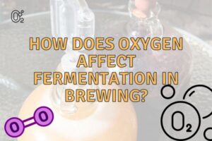 Does Fermentation Require Oxygen? (Explained!) – ExpertBrewing.com