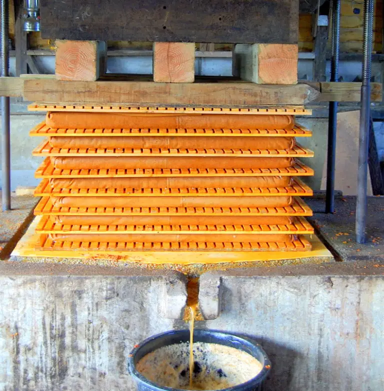 Best Cider Presses in 2025 (Beginners Guide!) – ExpertBrewing.com