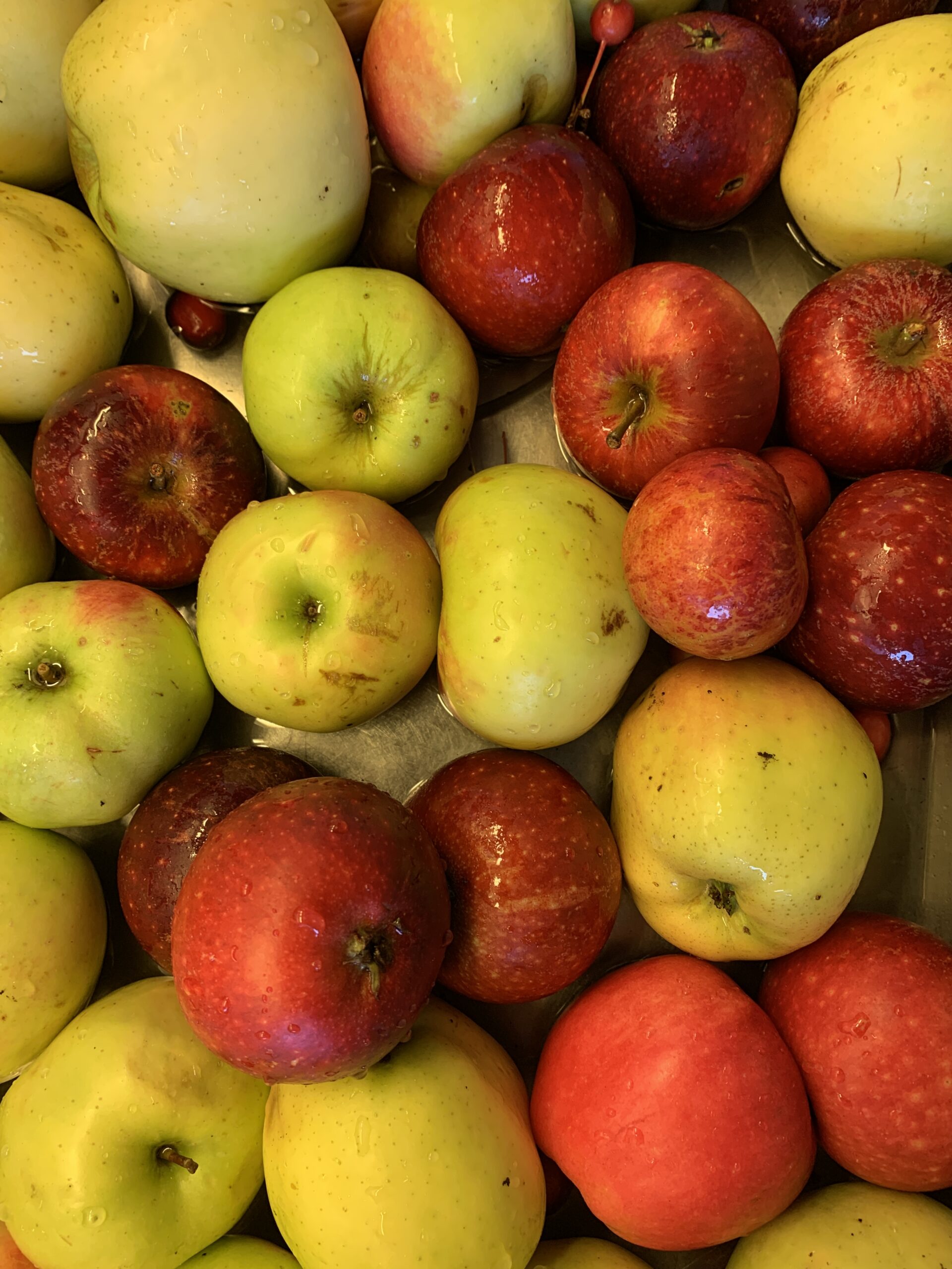 Yeast Nutrients – A Guide For Cider Brewers! – ExpertBrewing.com