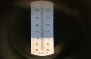 How To Read A Brix Refractometer? (Quick Guide!) – ExpertBrewing.com