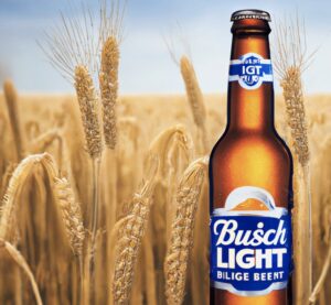 What beers have the least amount of sugar? (Listed!) – ExpertBrewing.com