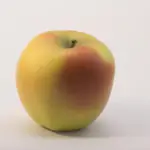 30 Red Apples and Their Use in Food and Cider – ExpertBrewing.com