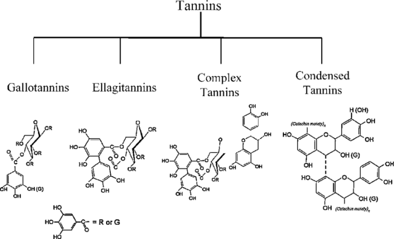 How To Remove Tannins From Wine? – ExpertBrewing.com