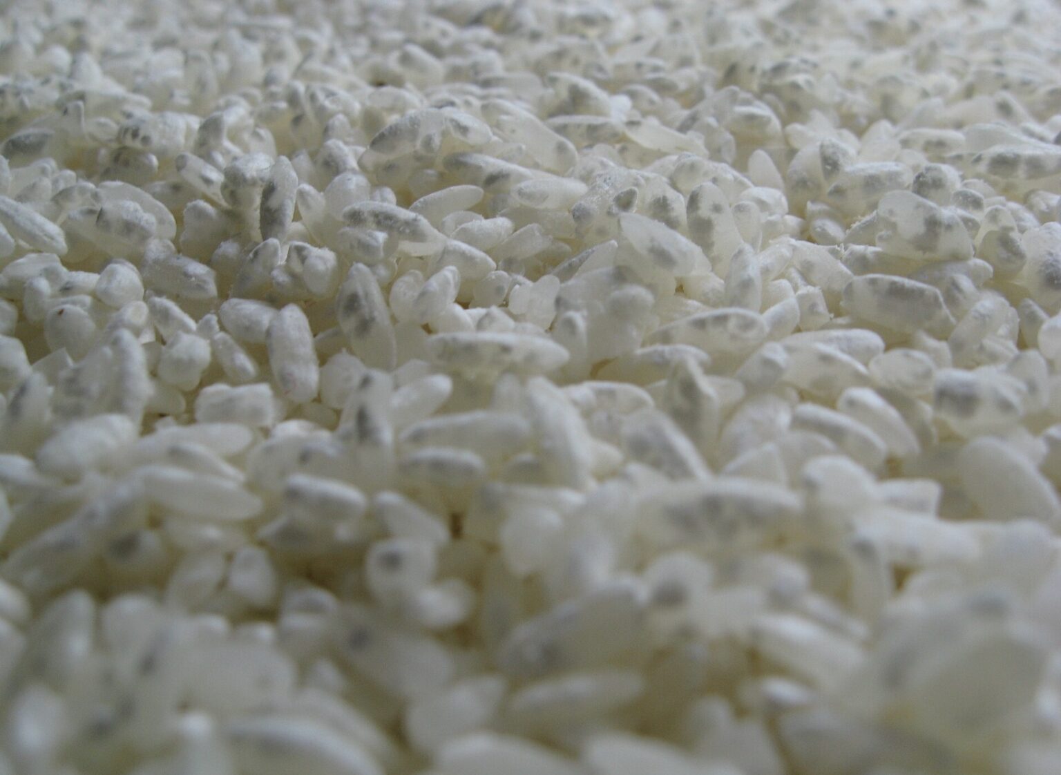 How To Make Sake (Traditional Japanese Rice Wine) At Home ...