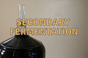 Secondary fermentation in brewing – What, Why and How! – ExpertBrewing.com