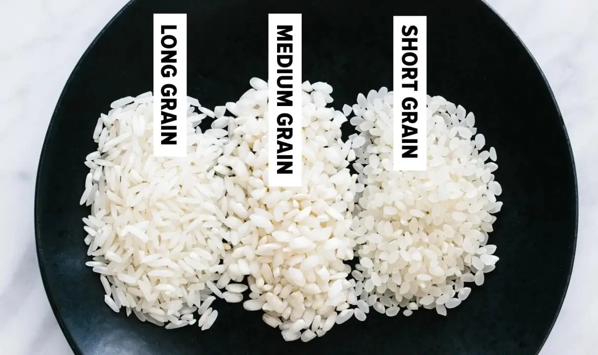 What Beers are Made with Rice? Why and How? – ExpertBrewing.com