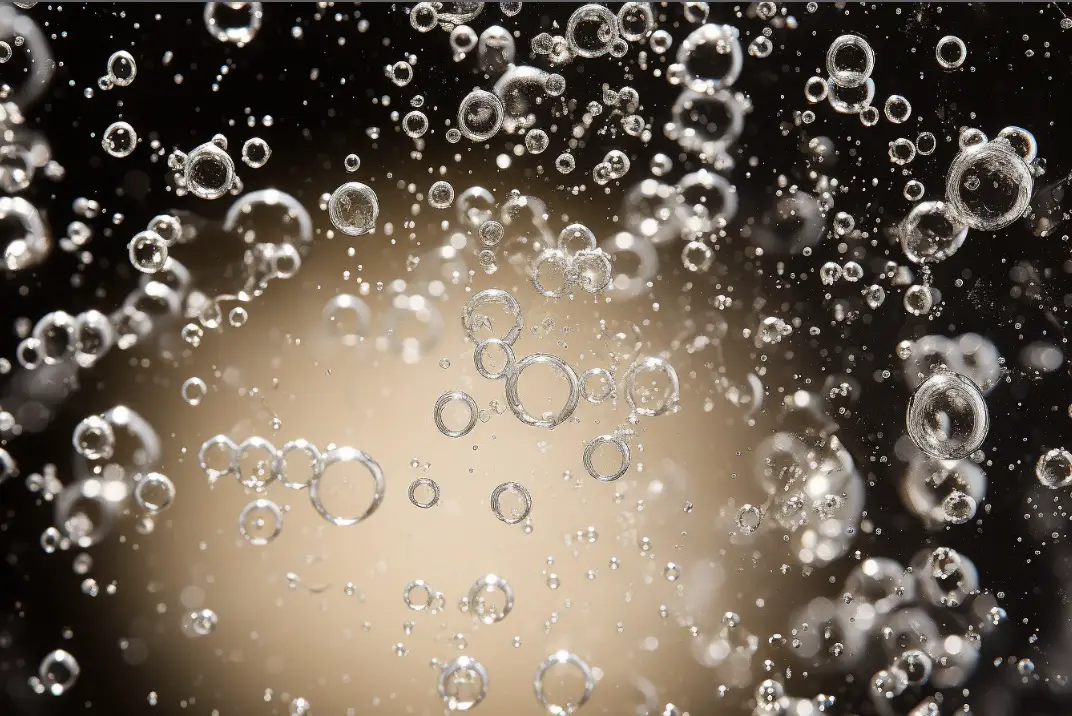 How Do I Know If My Homebrew Is Fermenting? – ExpertBrewing.com