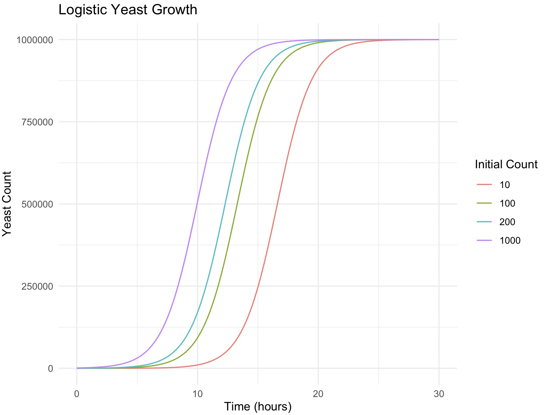 Will Adding More Yeast Speed Up Fermentation