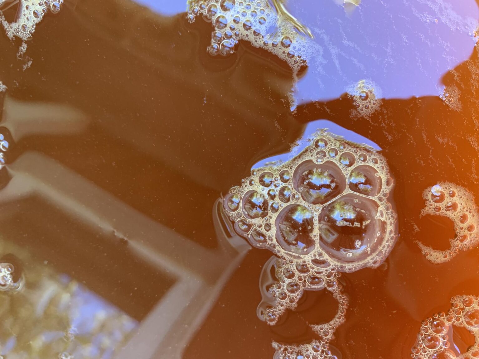 When To Rack Cider? (Best Racking Frequency!) – ExpertBrewing.com