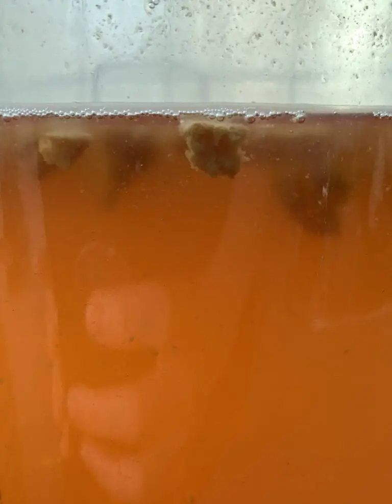 How to Cold Crash Without a Fridge? (Full Guide!) – ExpertBrewing.com