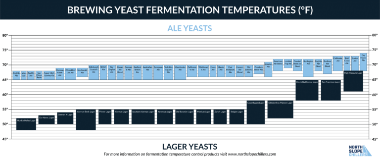 Top Fermented Beer Vs Bottom Fermented Beer Explained! – ExpertBrewing.com
